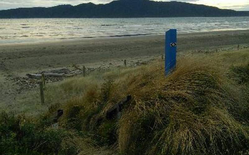 Matatua Road Car Park | Freedom/Basic Camp | New Zealand